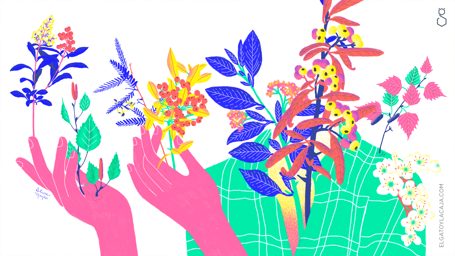 Alien | El Gato y La Caja